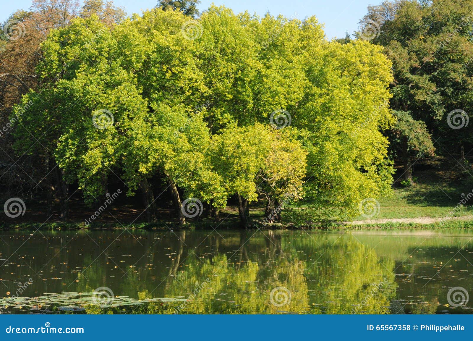 Park Jean-Jacques Rousseau in Ermenonville Stock Photo - Image of ...