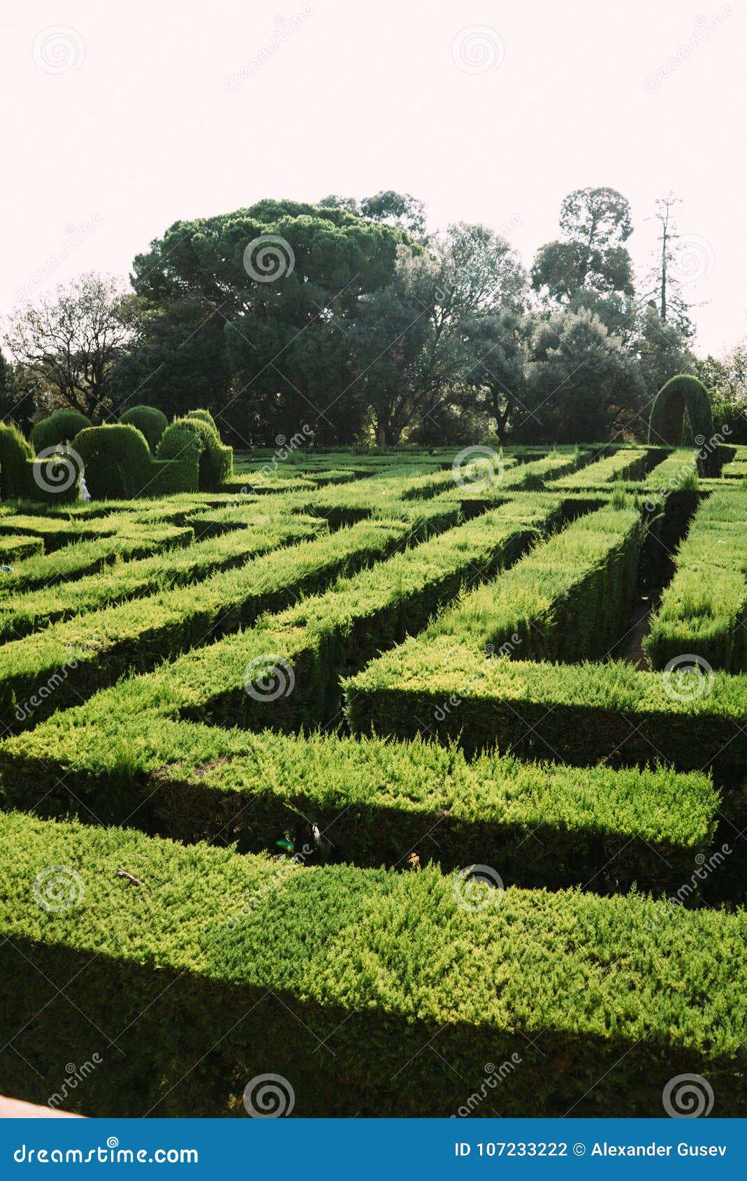 Park Labyrinth in Barcelona Stock Photo - Image of labyrinth, bush ...