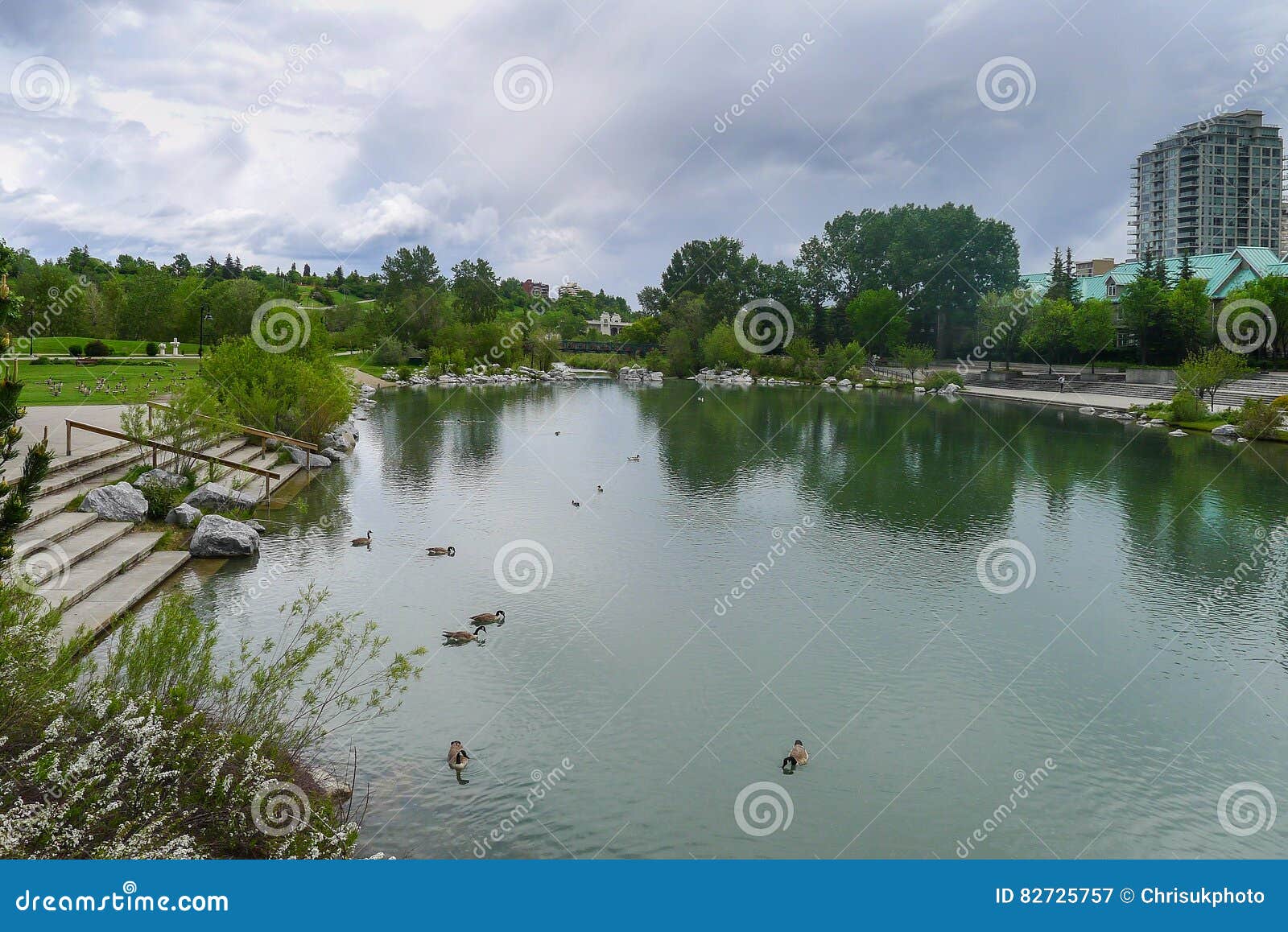 Park and Lake in Calgary stock image. Image of canada - 82725757