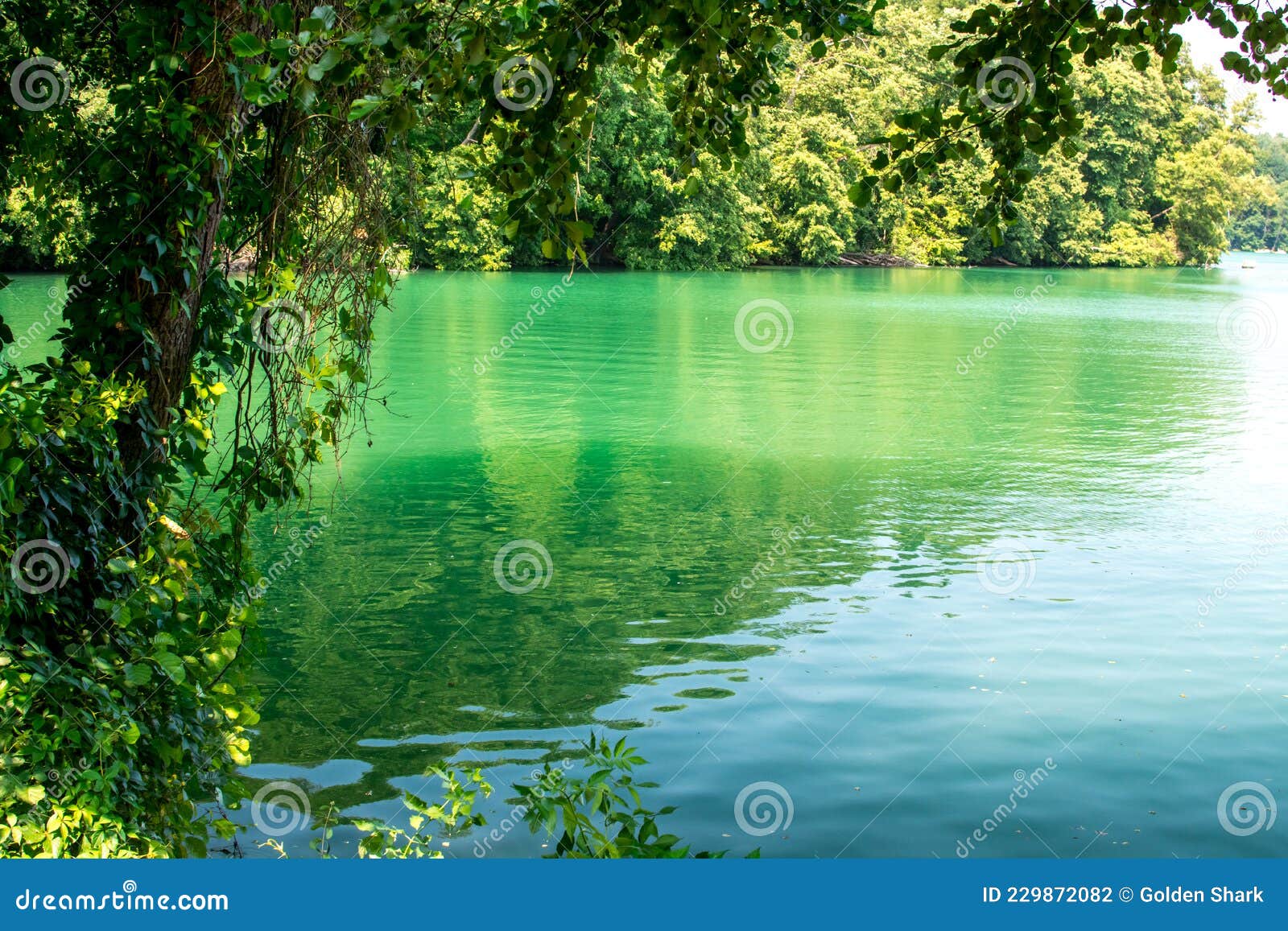 Park with Lake Quite Beautiful Calm Peaceful Stock Photo - Image of ...