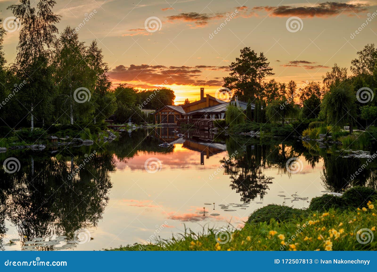 Park with a lake and trees stock image. Image of dawn - 172507813