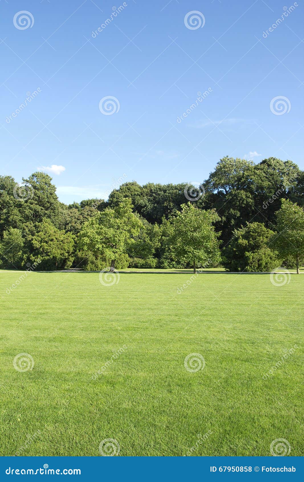 Park landscape stock photo. Image of bush, mowed, green - 67950858