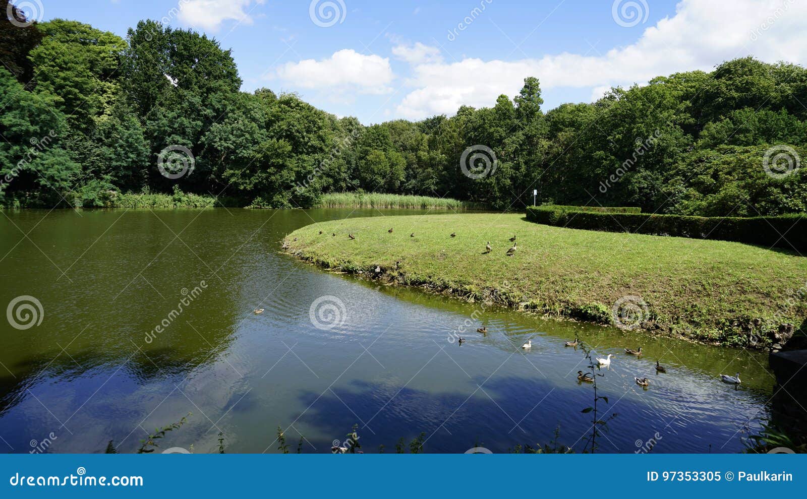 In a park stock image. Image of grass, nature, antwerp - 97353305