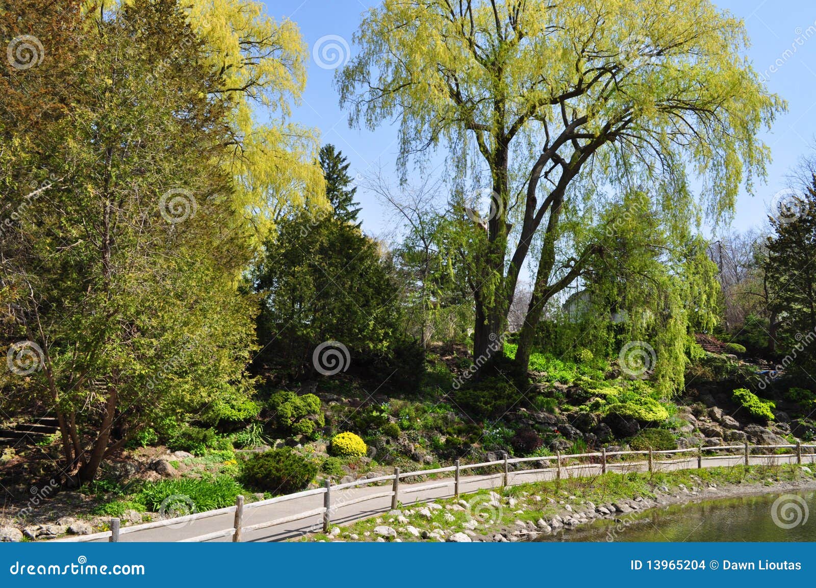 Park Landscape, Spring stock photo. Image of park, season - 13965204