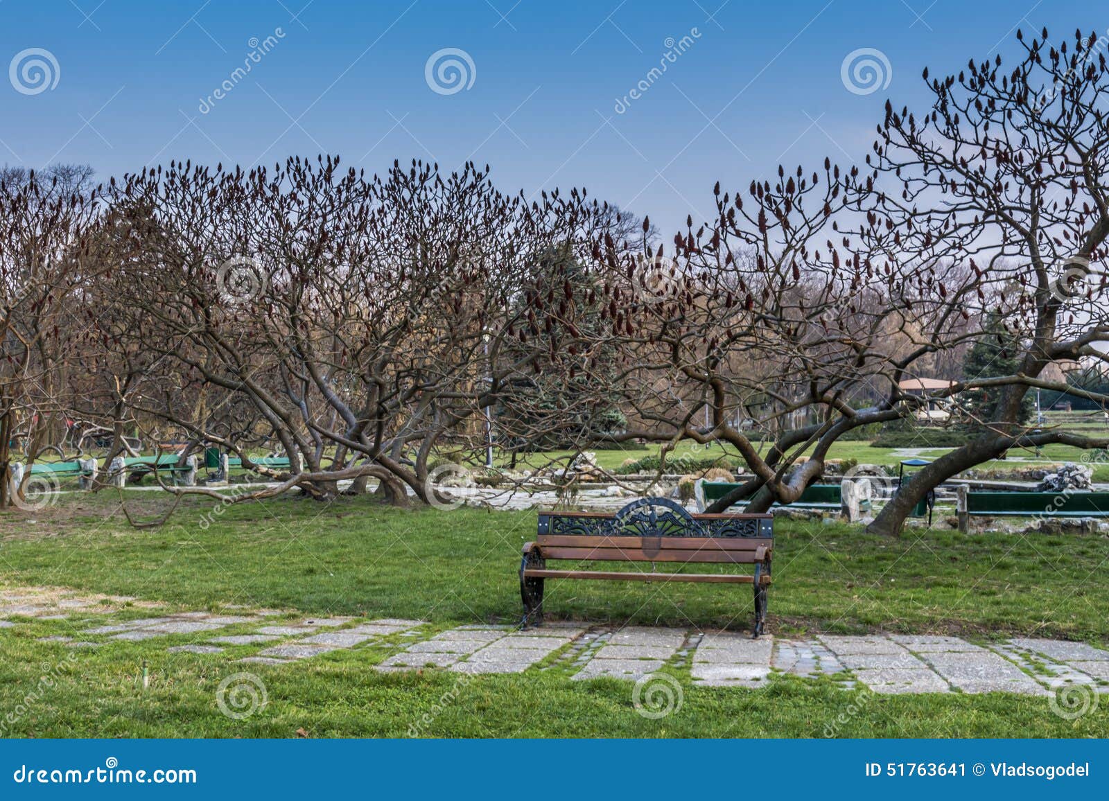 Park Landscape in the Spring Time in Bucharest Stock Image - Image of ...
