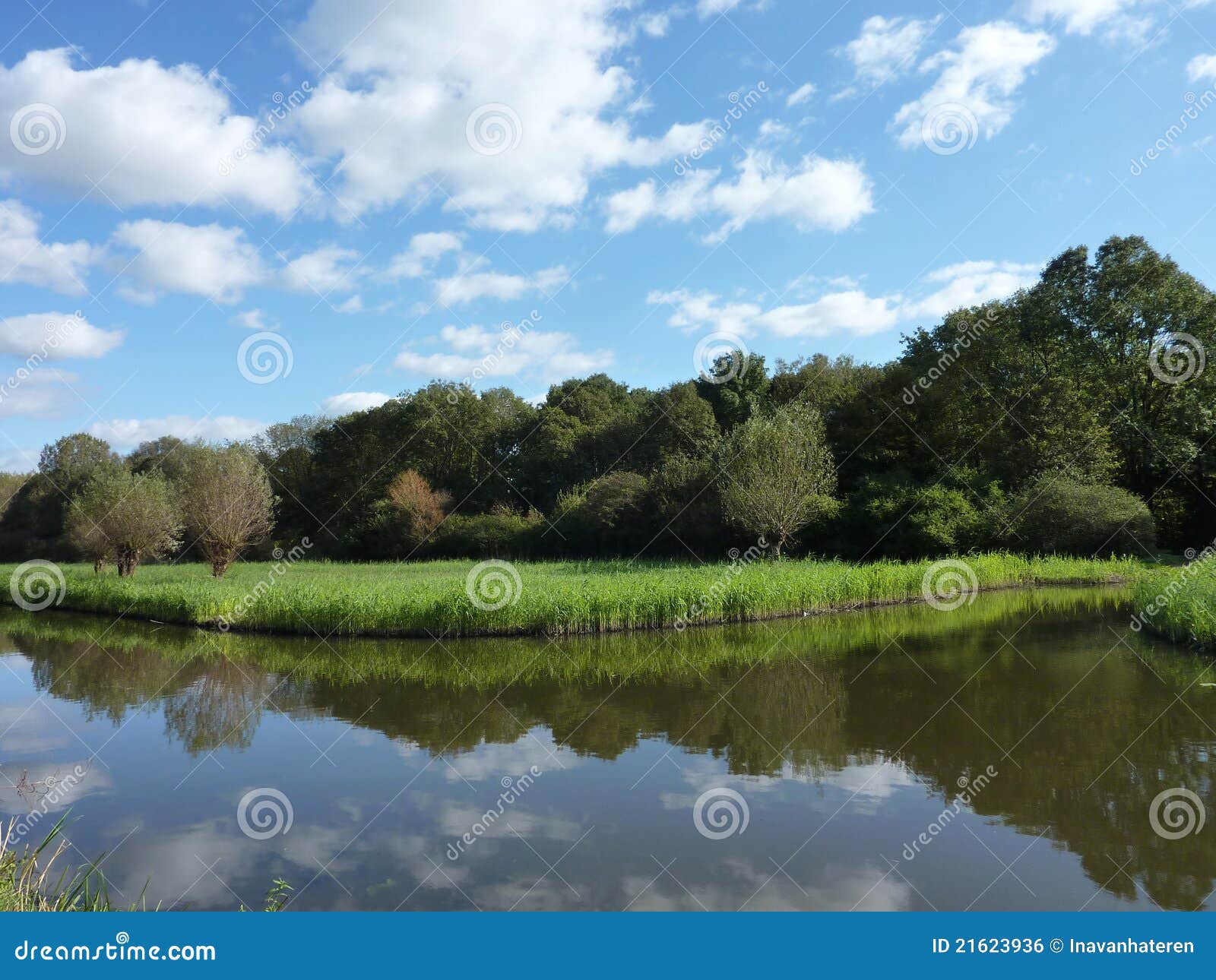 Park Landscape at a Sunny Day Stock Photo - Image of perspective, grass ...