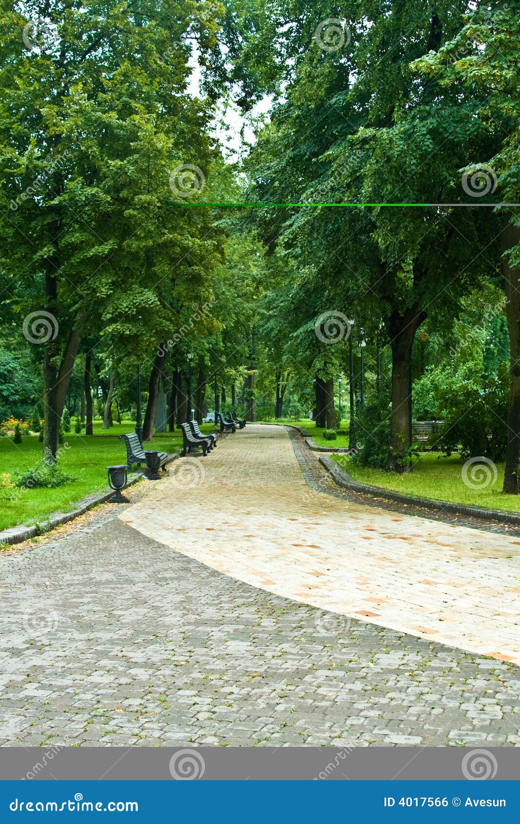 Park lane stock photo. Image of grass, seat, lane, footpath - 4017566