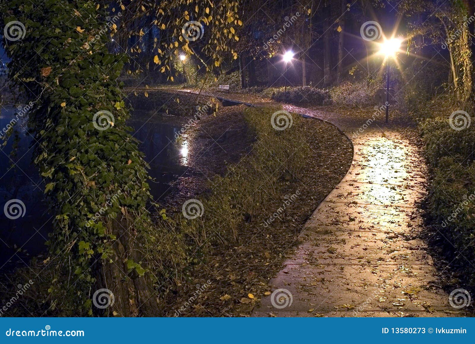 A Park Lane at Night, after Rain, during Fall. Stock Image - Image of ...