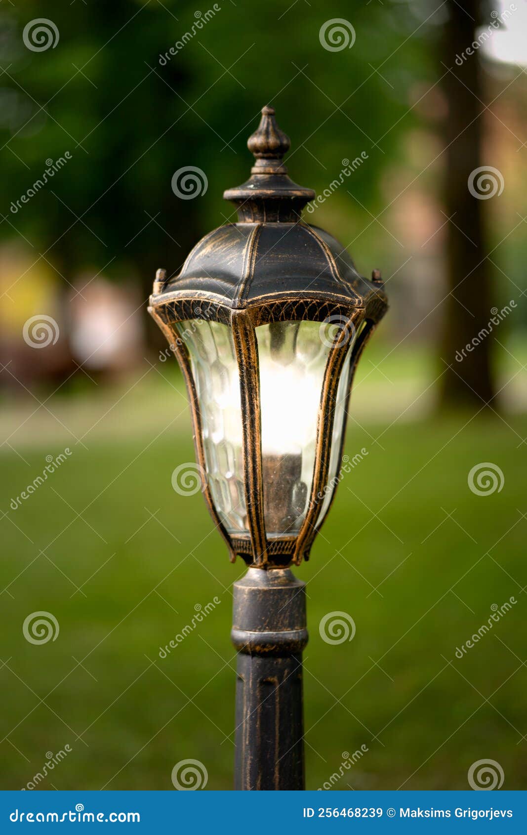 Park Lantern Lights, Lamp Post in Green Public Space Stock Image ...