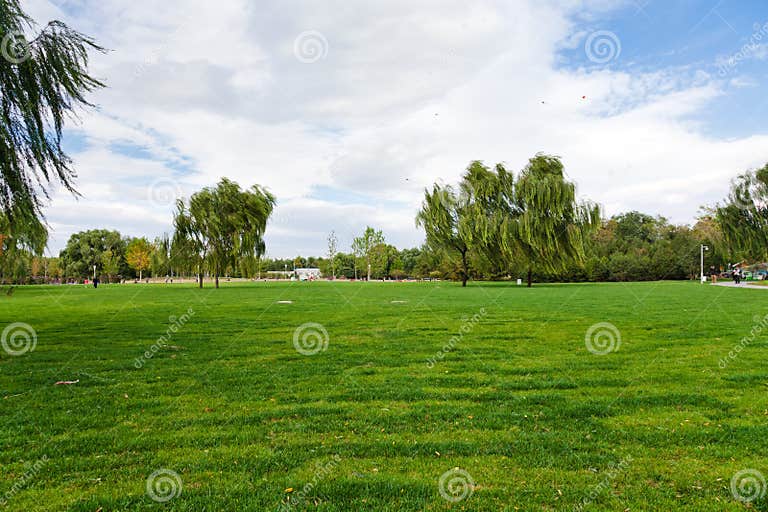 Park lawn stock image. Image of cloudscape, sunlight - 23059859