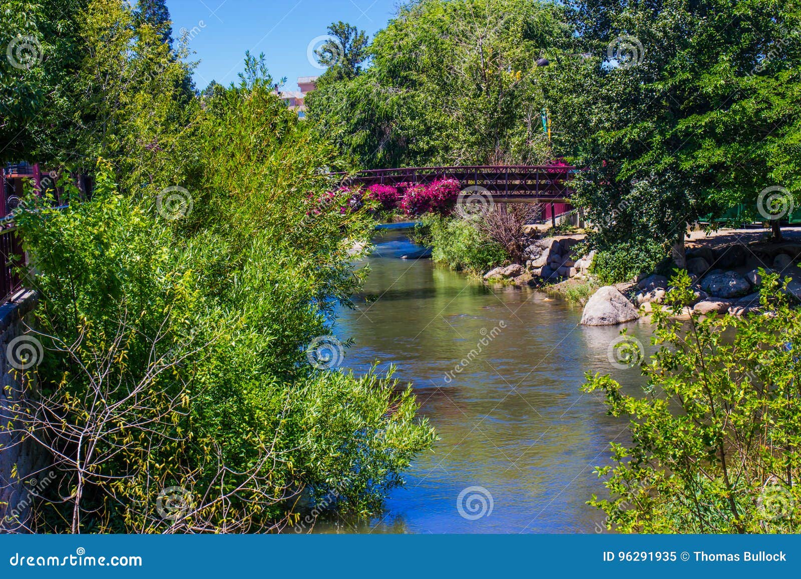 Park Like Setting for Walking Bridge Over Stream Stock Image - Image of ...