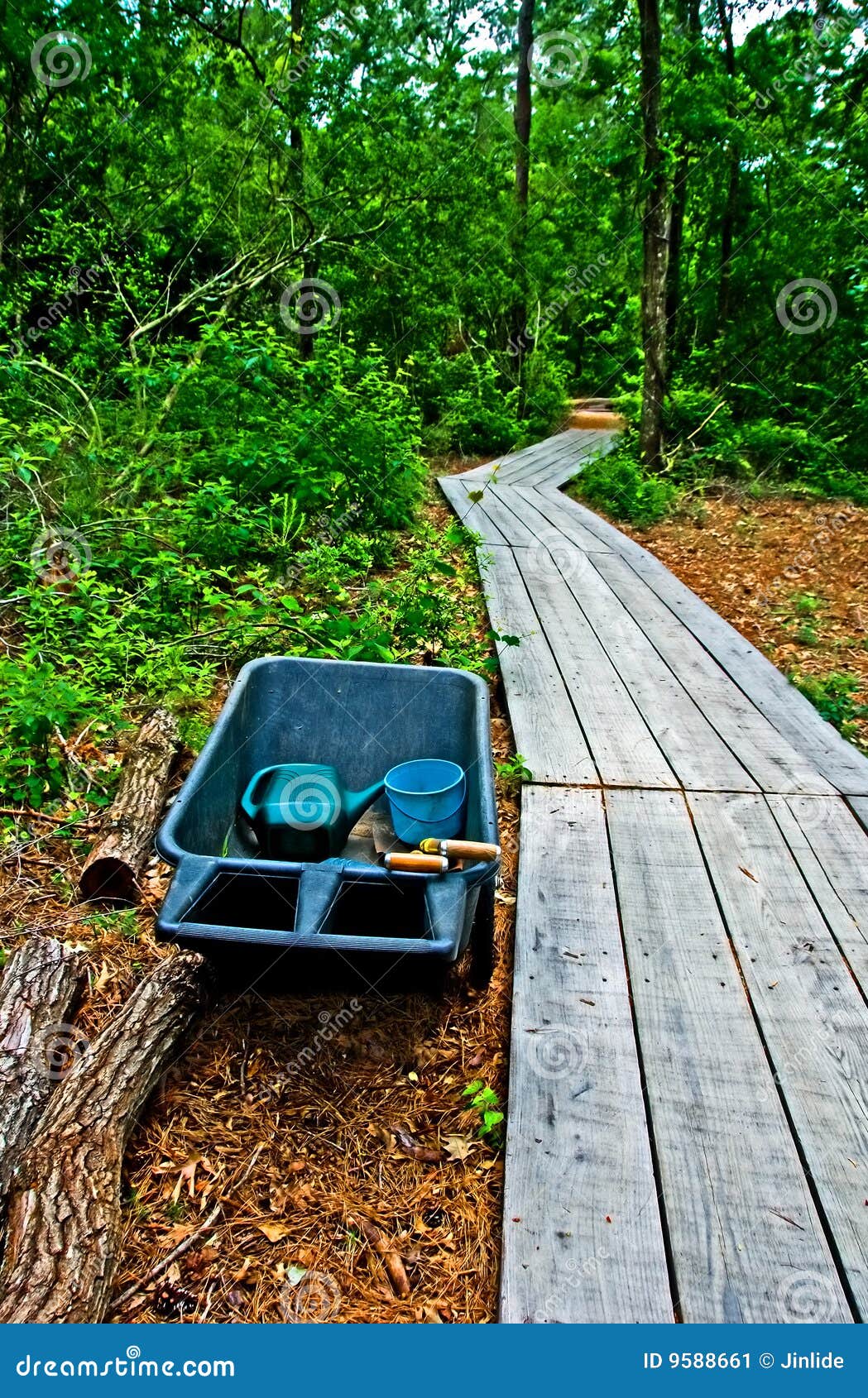 Park maintenance stock image. Image of trunk, trees, tool - 9588661