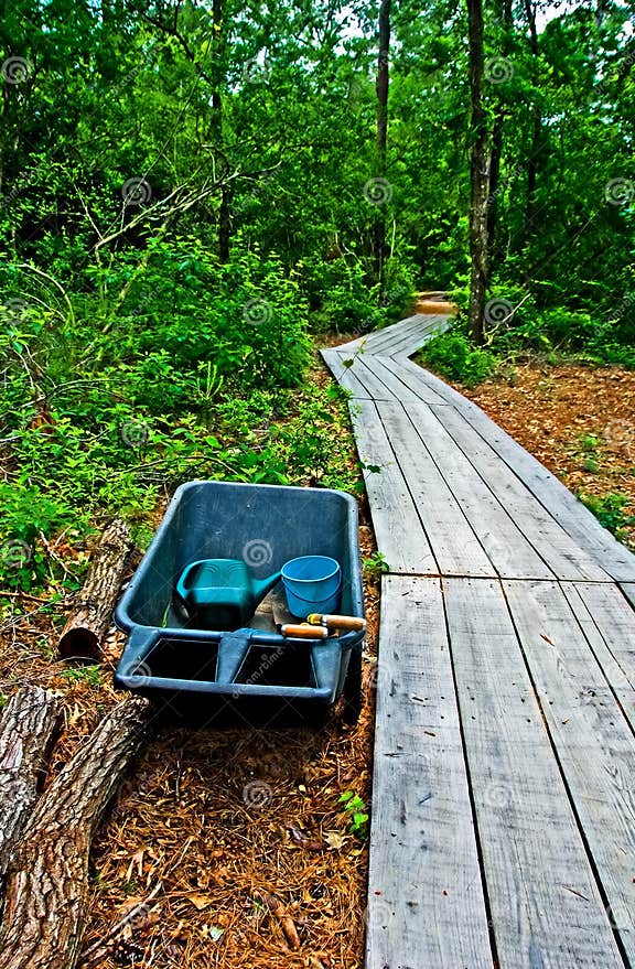 Park maintenance stock image. Image of trunk, trees, tool - 9588661