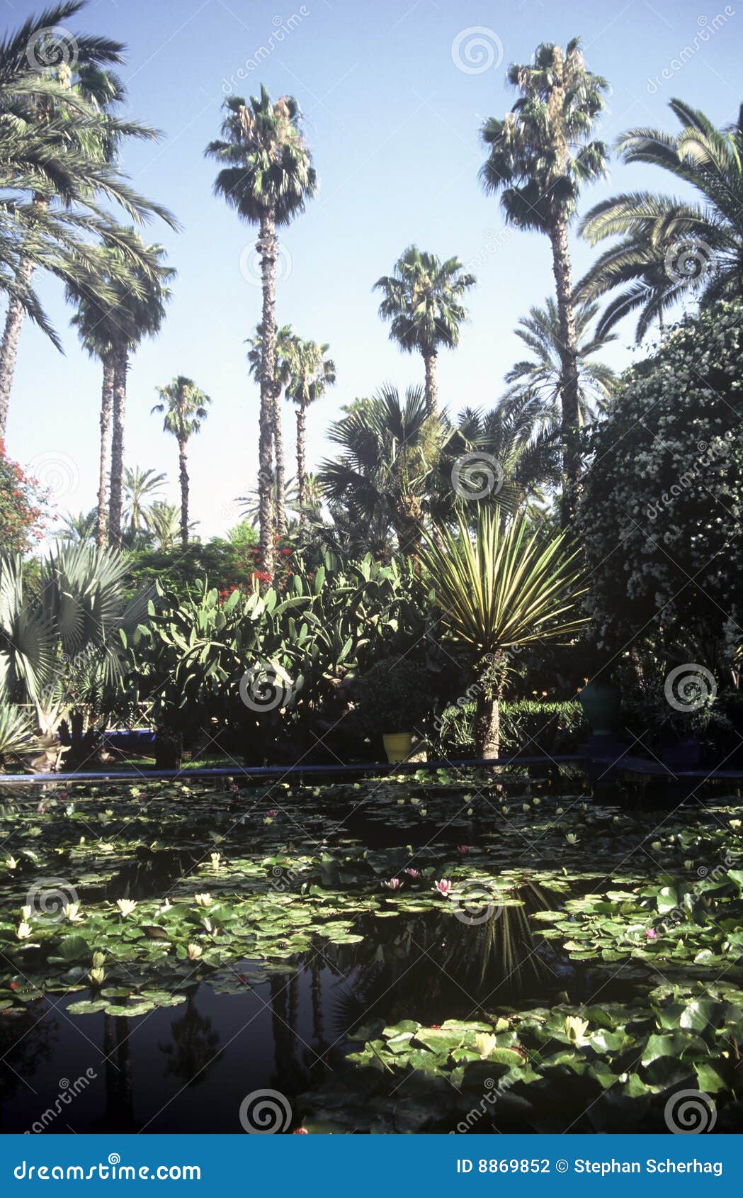 Park in Marrakesh,Morocco stock photo. Image of maghreb - 8869852