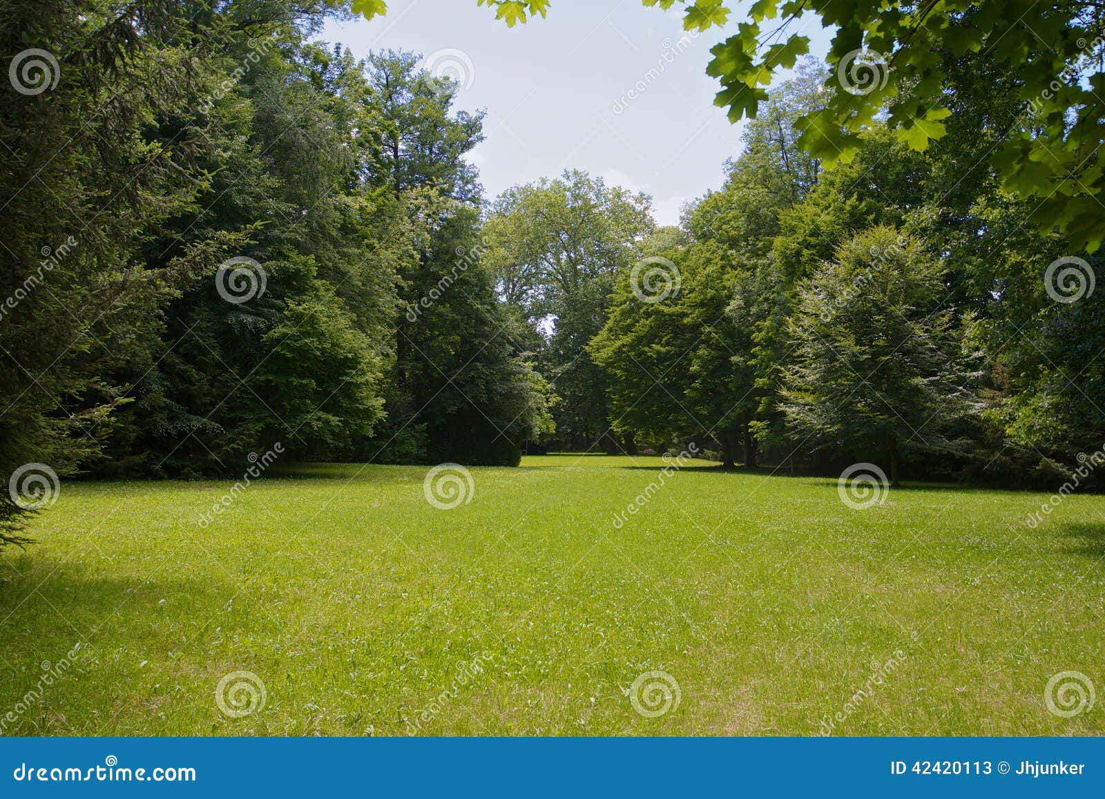 Park meadow stock image. Image of tall, tree, recreation - 42420113