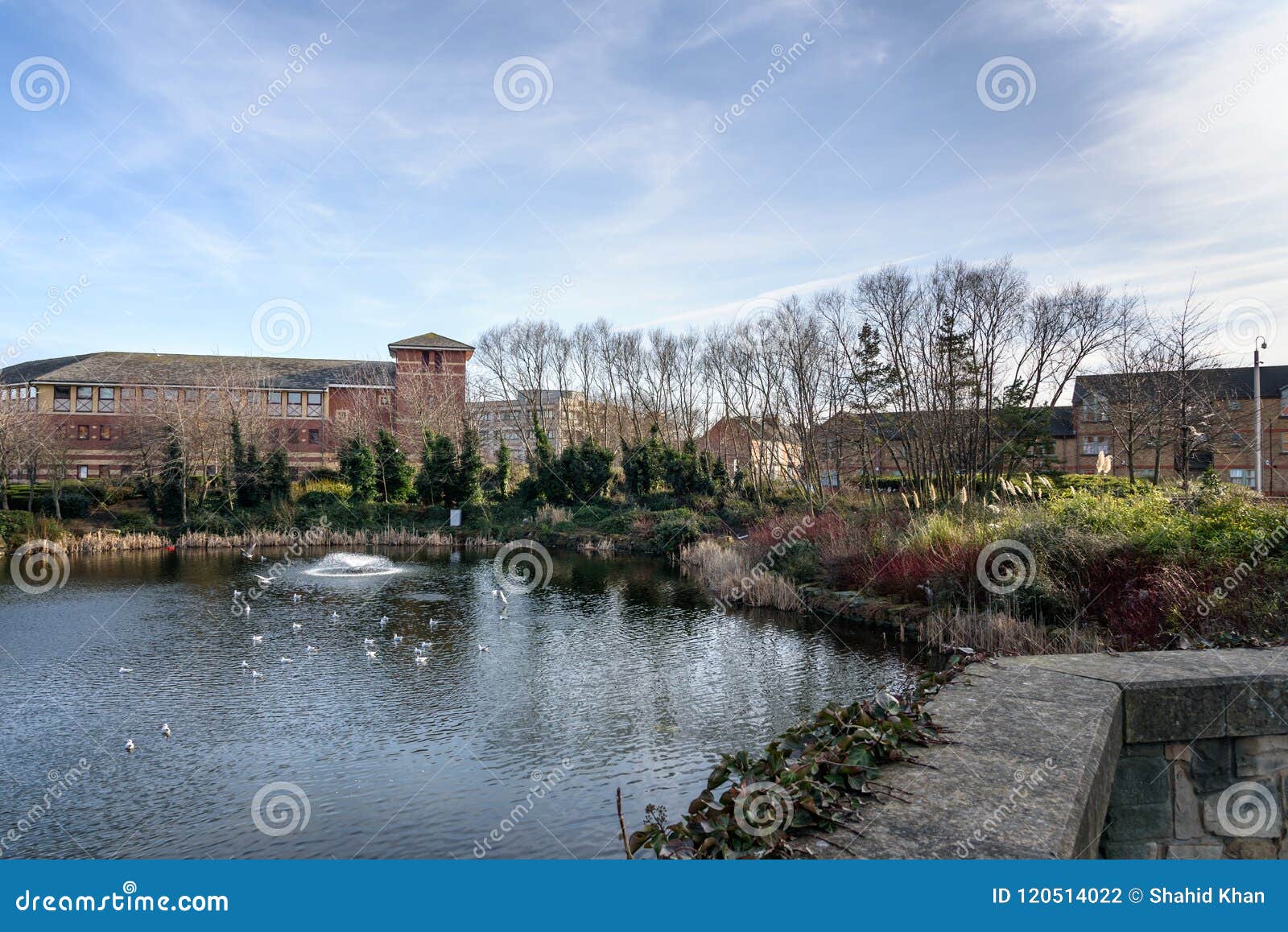 Middlesbrough Parks Stock Photos - Free & Royalty-Free Stock Photos ...