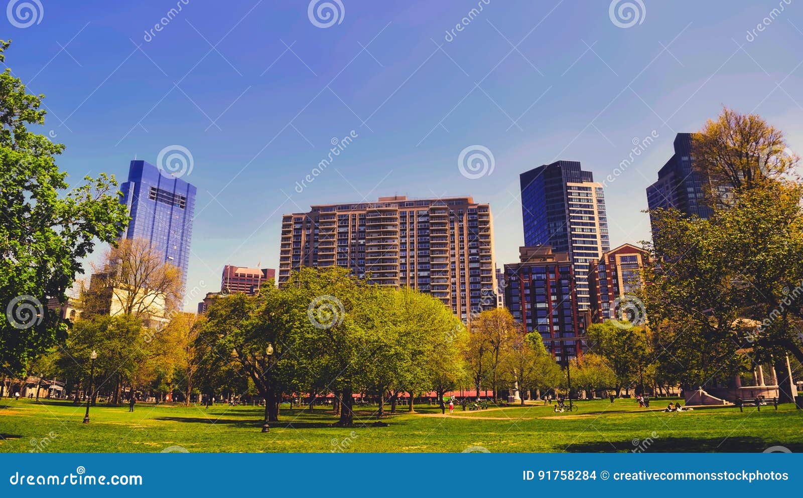 Park And Modern Buildings Picture. Image: 91758284