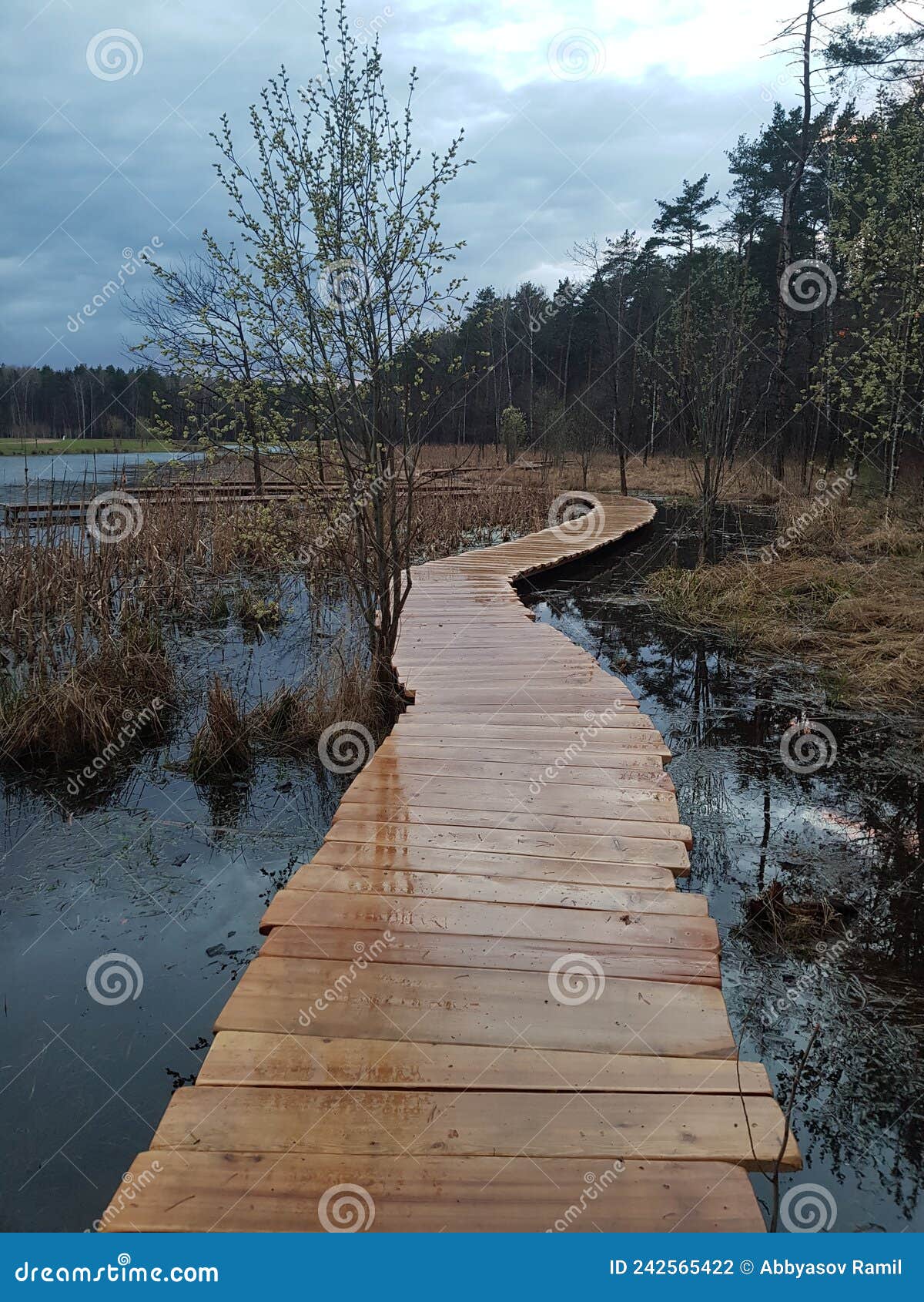 Bridge over the lake stock photo. Image of reservoir - 242565422
