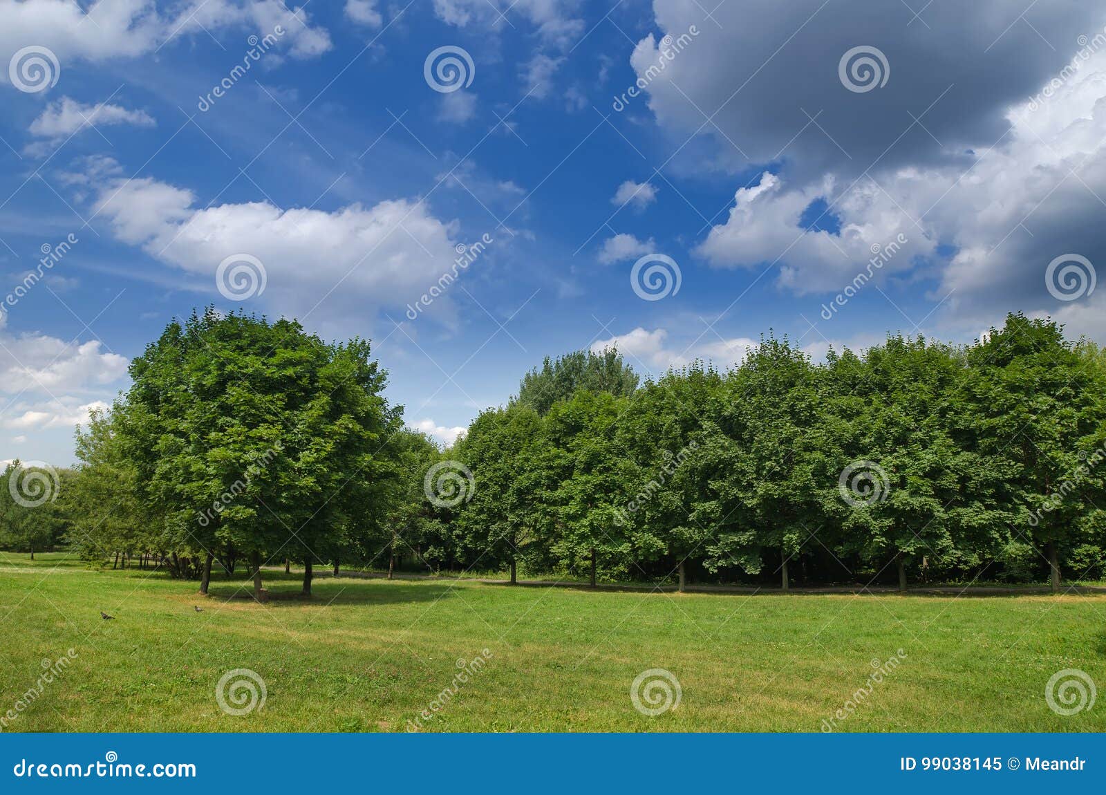 Park in Moscow, Russia stock image. Image of botanical - 99038145