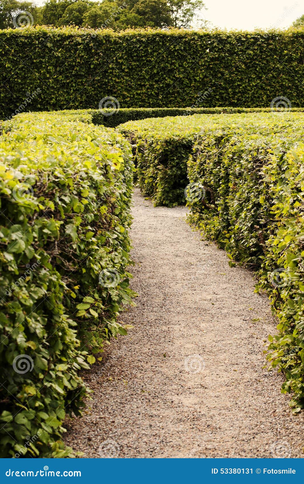 Park stock image. Image of garden, fence, hedge, hedges - 53380131