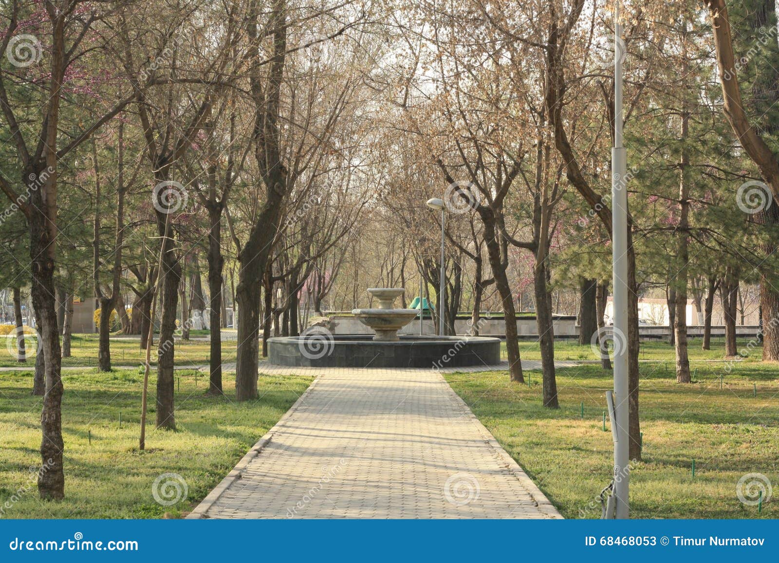 Park Near the Museum of Amir Temur Stock Image - Image of temur ...