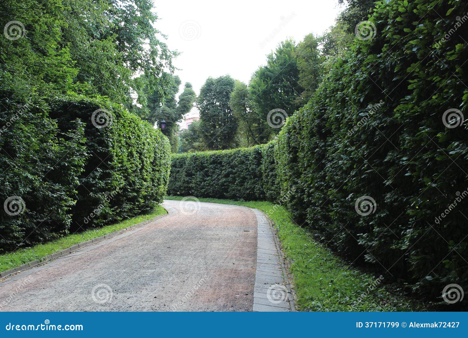 Park with Nice Promenade Path and Green Bushes Stock Image - Image of ...