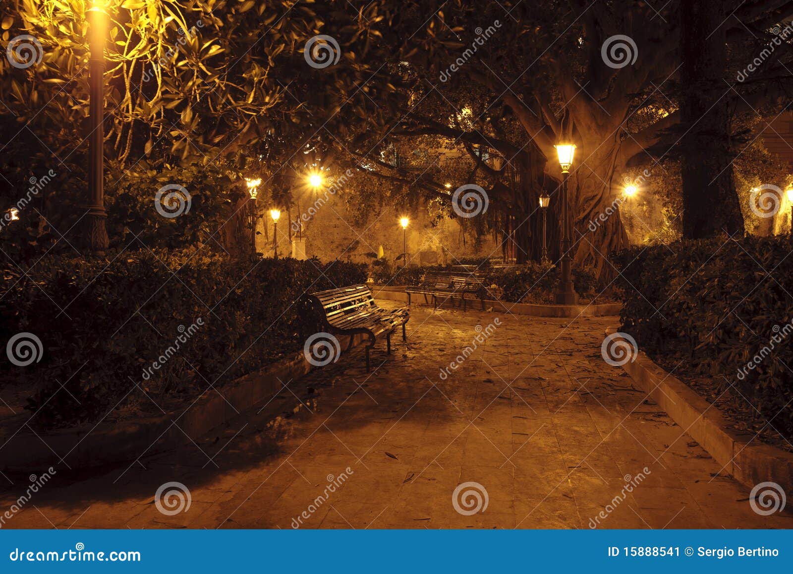 Park at night stock image. Image of light, pathway, dark - 15888541