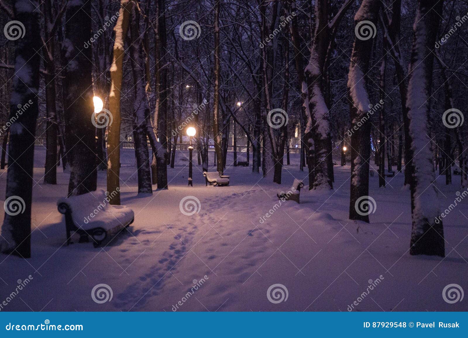 Park at night a heavy snow stock photo. Image of natural - 87929548