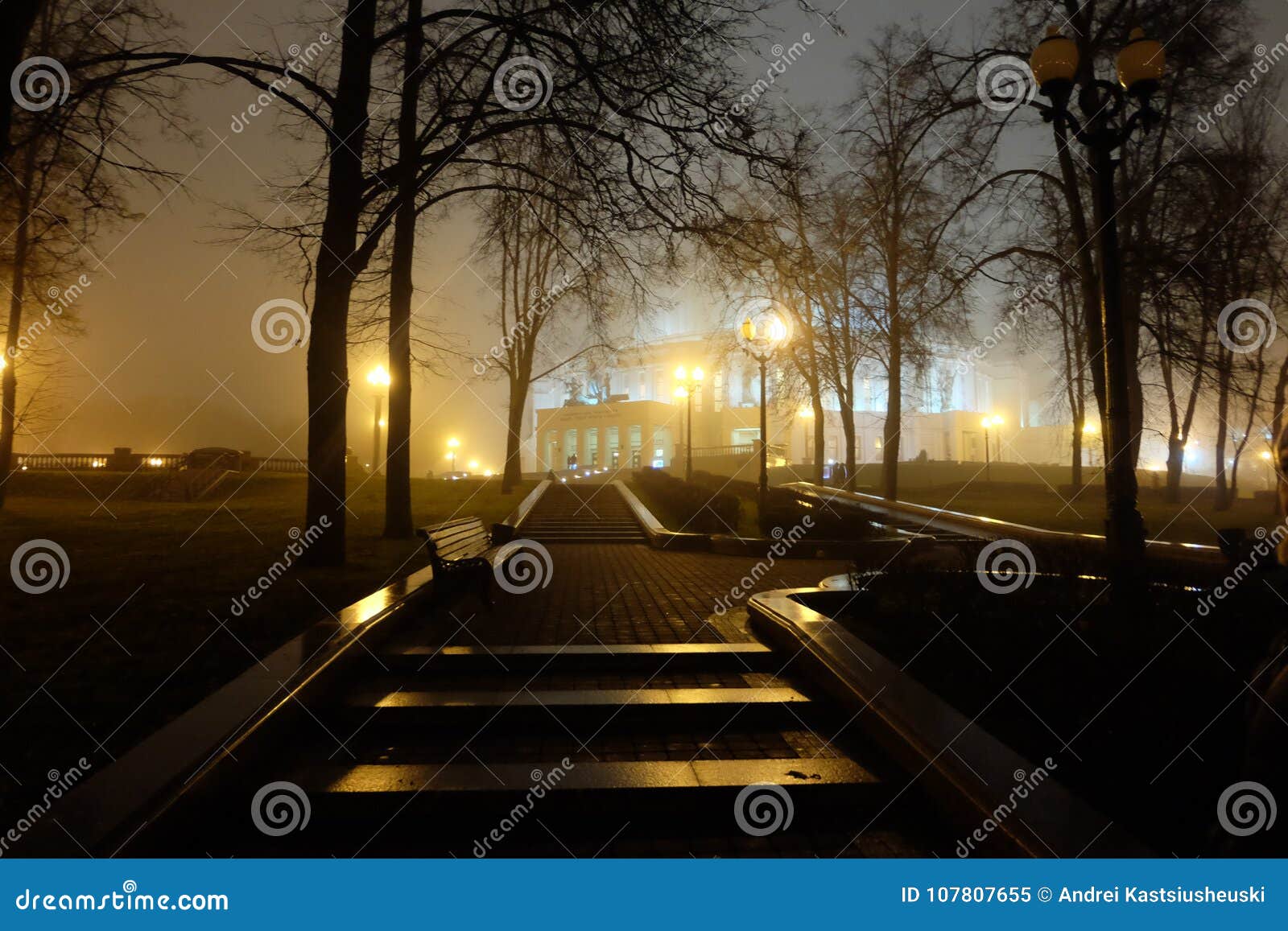 Park at Night. Light Lanterns. Stock Image - Image of light, forest ...