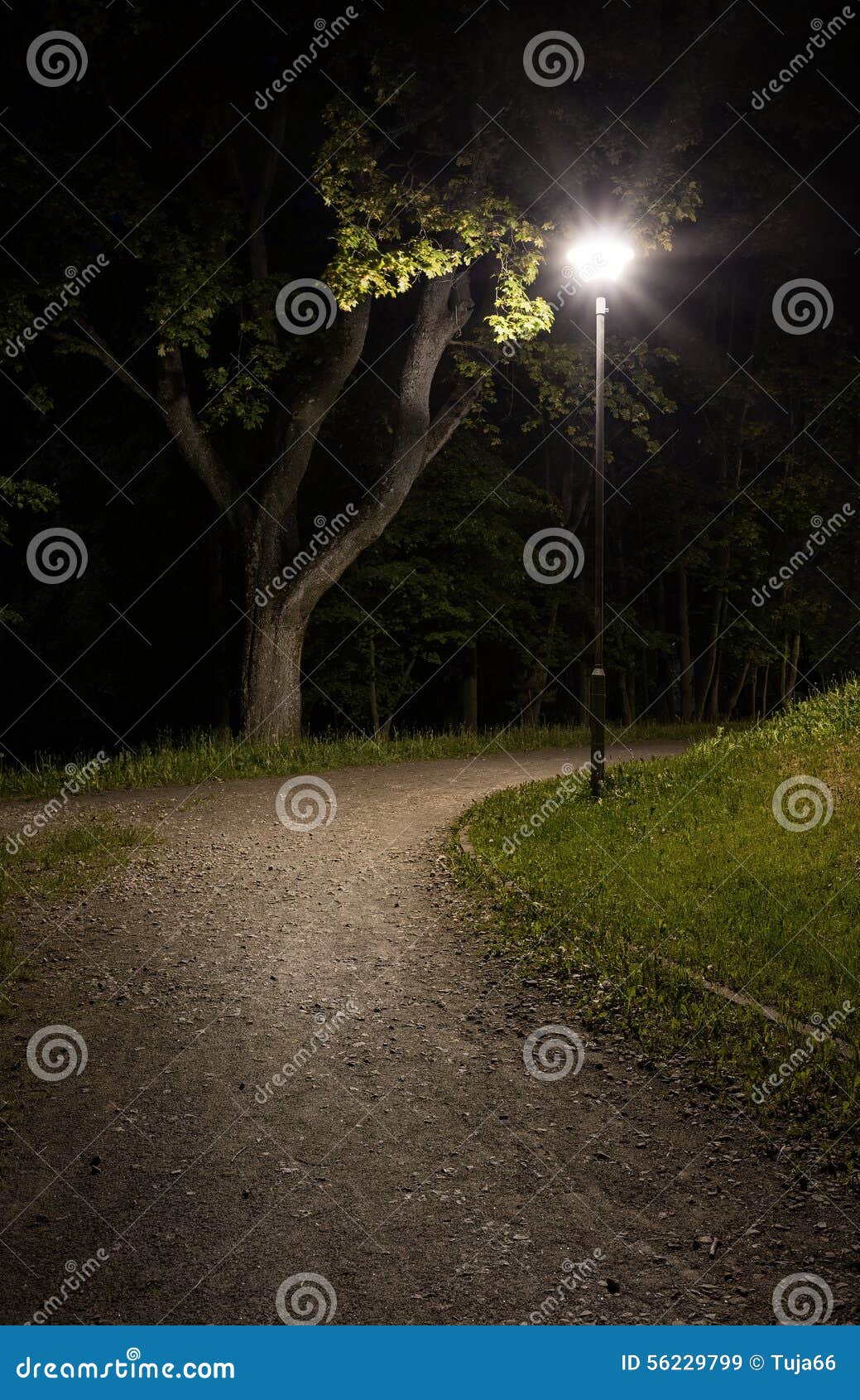 Park night stock image. Image of night, architecture - 56229799