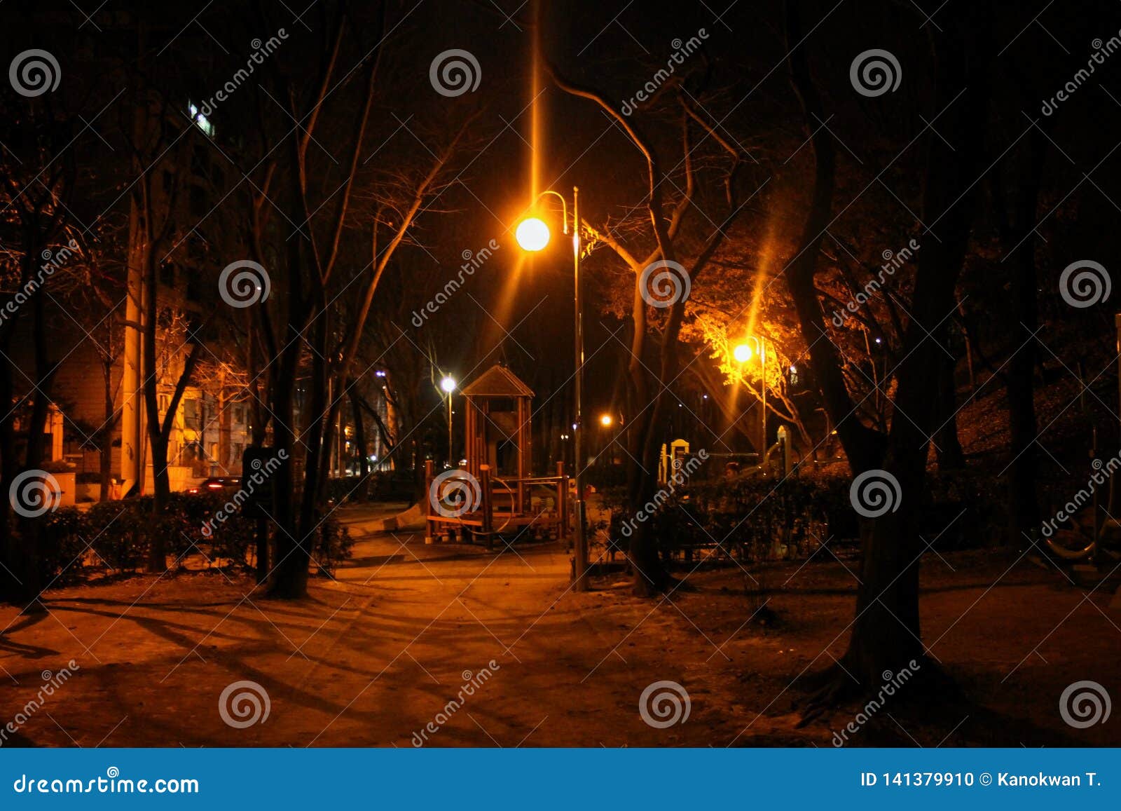 A park during night time stock photo. Image of dark - 141379910