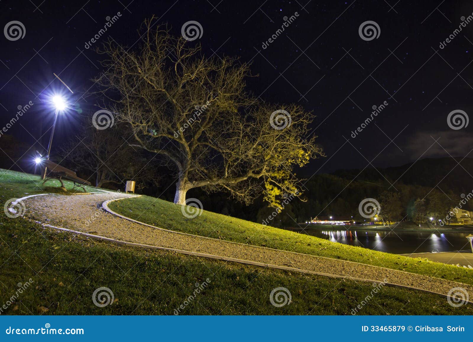 In park at night stock image. Image of illumination, bench - 33465879