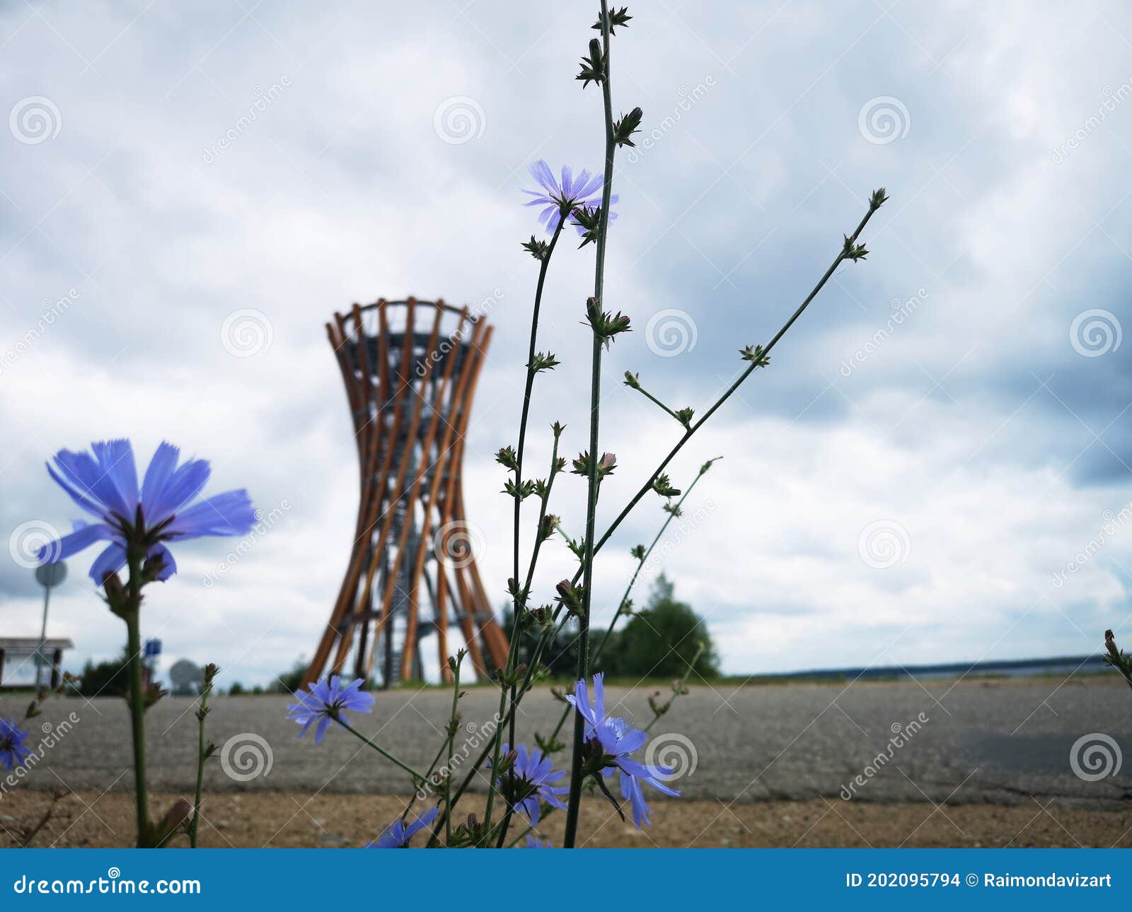Park Observation Tower in Nature Editorial Stock Image - Image of ...
