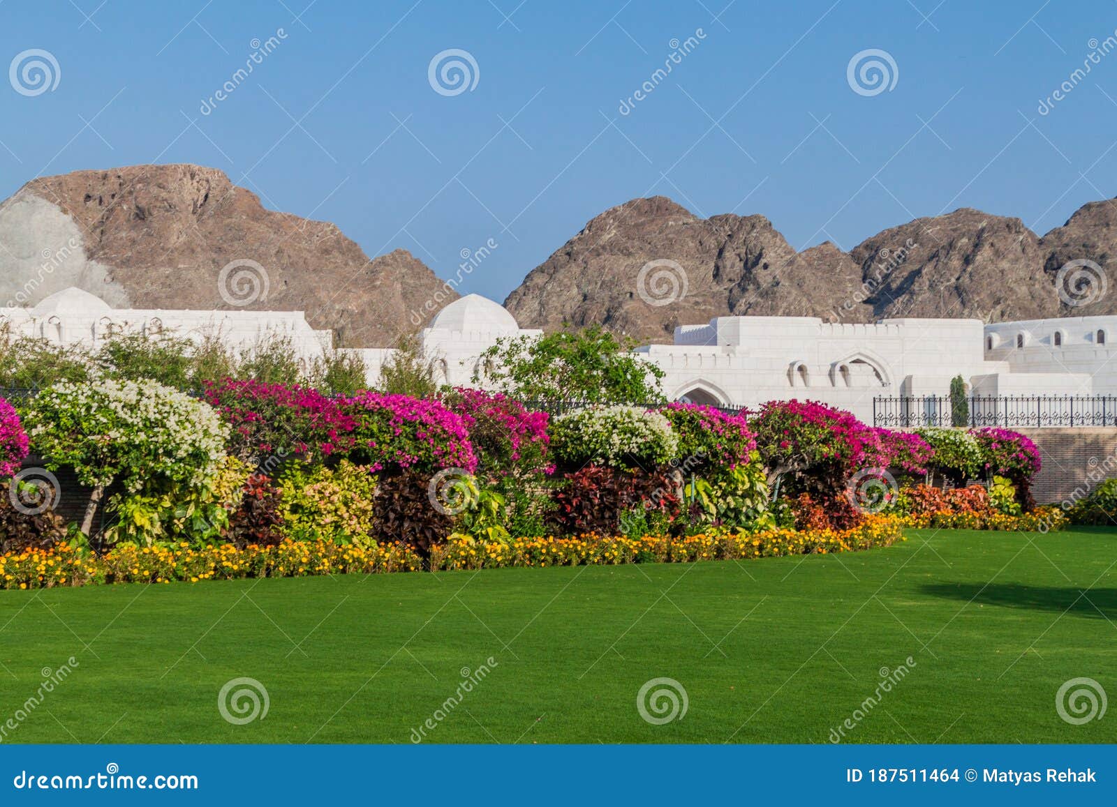 Park in Old Muscat, Om stock photo. Image of muscat - 187511464