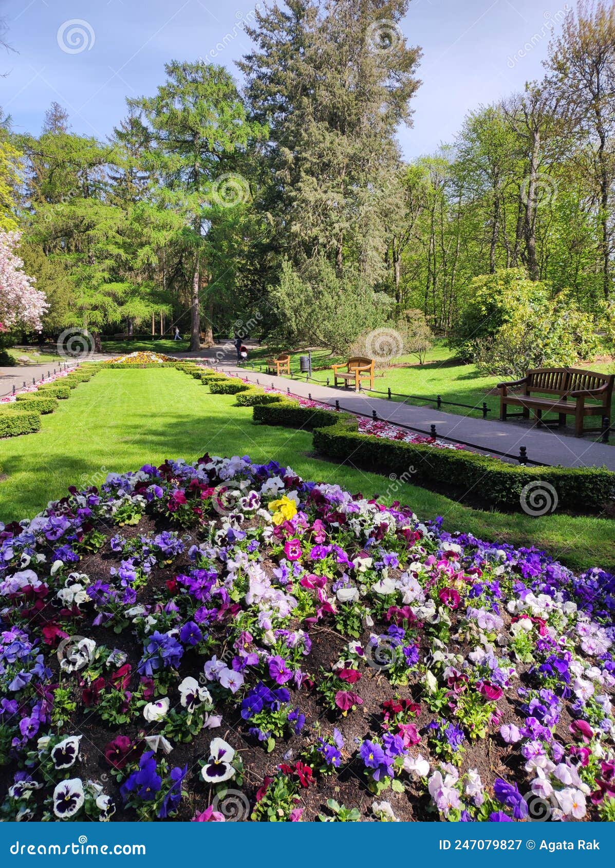 Park Oliwski Gdansk stock image. Image of estate, grass - 247079827