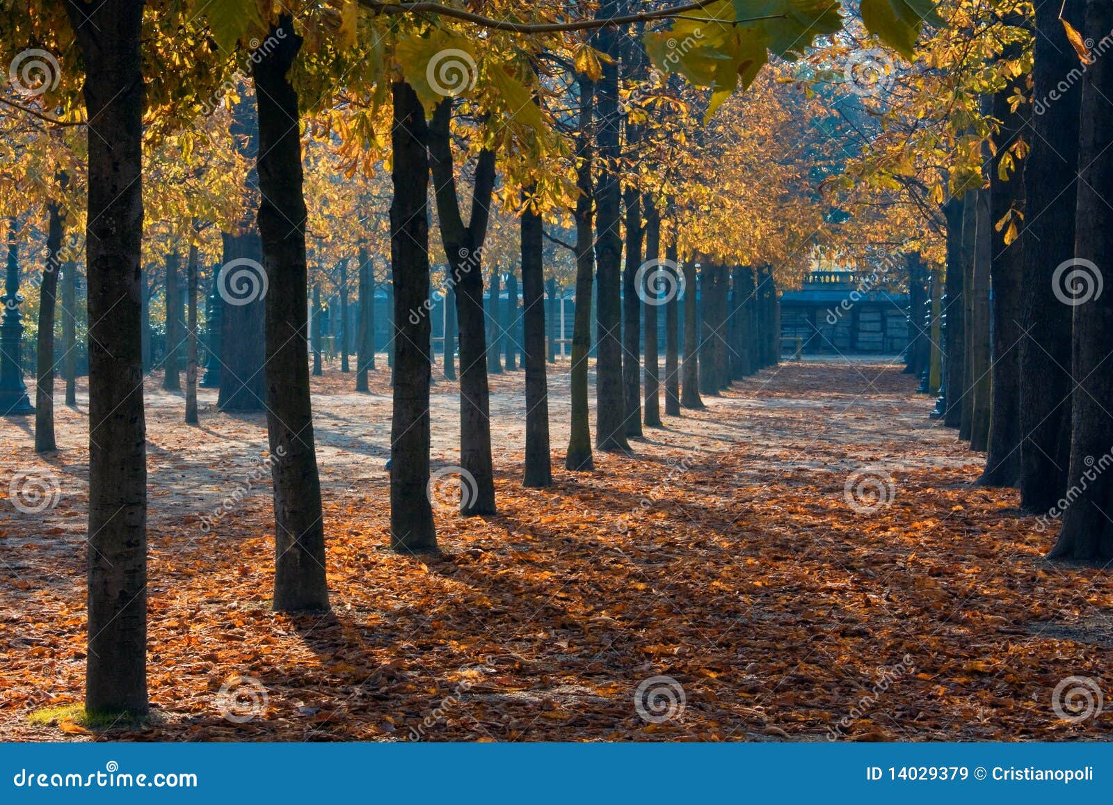 Park in paris stock image. Image of travel, forest, color - 14029379