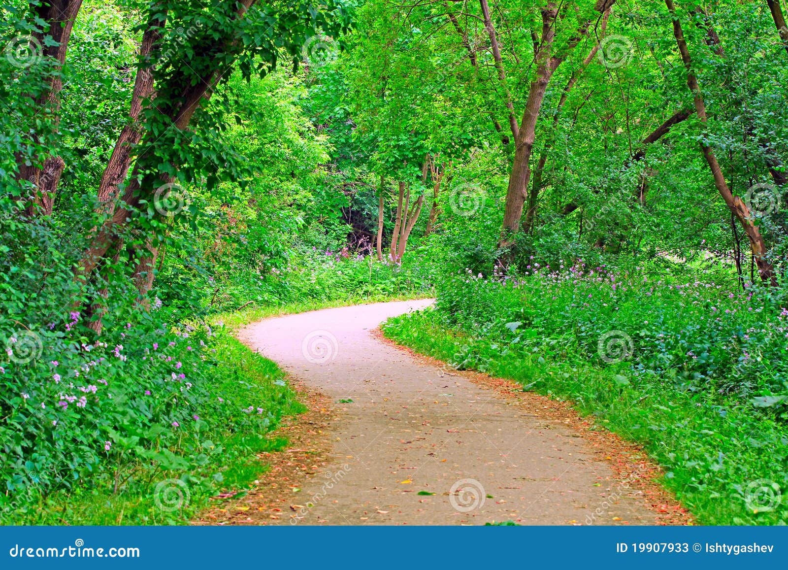 Park path stock image. Image of outdoors, green, single - 19907933