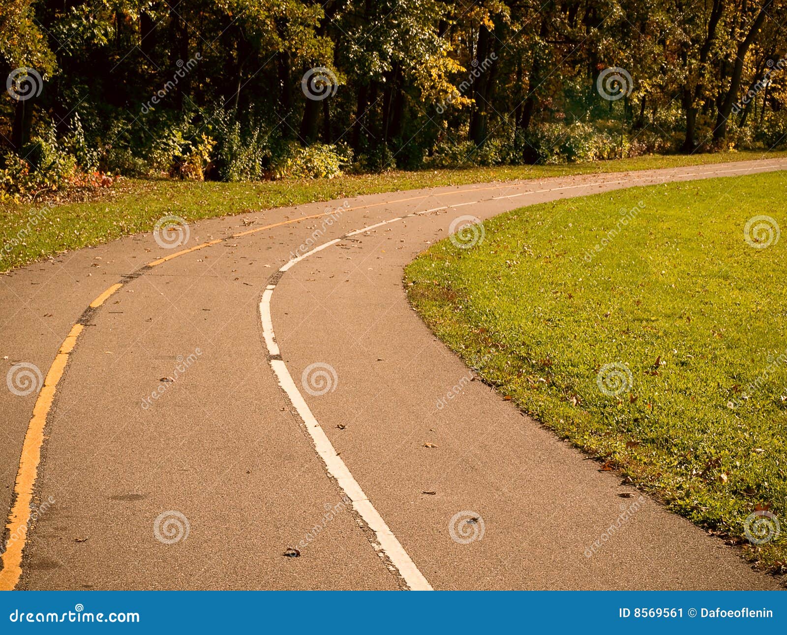 Park With A Path And Rows Of Old Trees. Park Alley In The Sunset ...