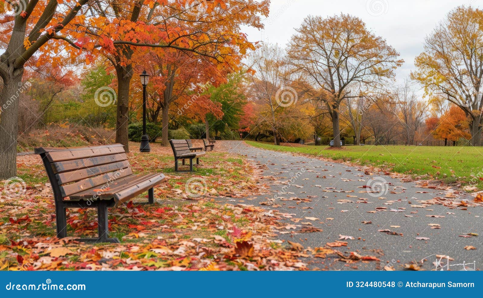 A Park with a Path and Benches Stock Photo - Image of yellow, footpath ...