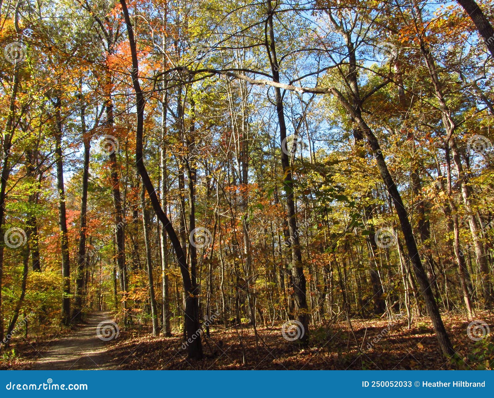 Park Path in the Fall3 stock image. Image of seasons - 250052033