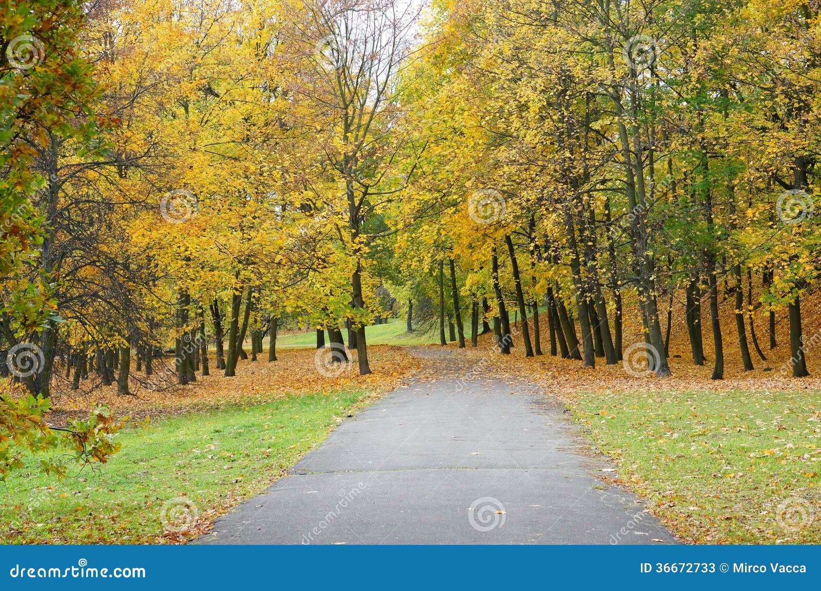 Park path stock image. Image of footpath, natural, seasonal - 36672733