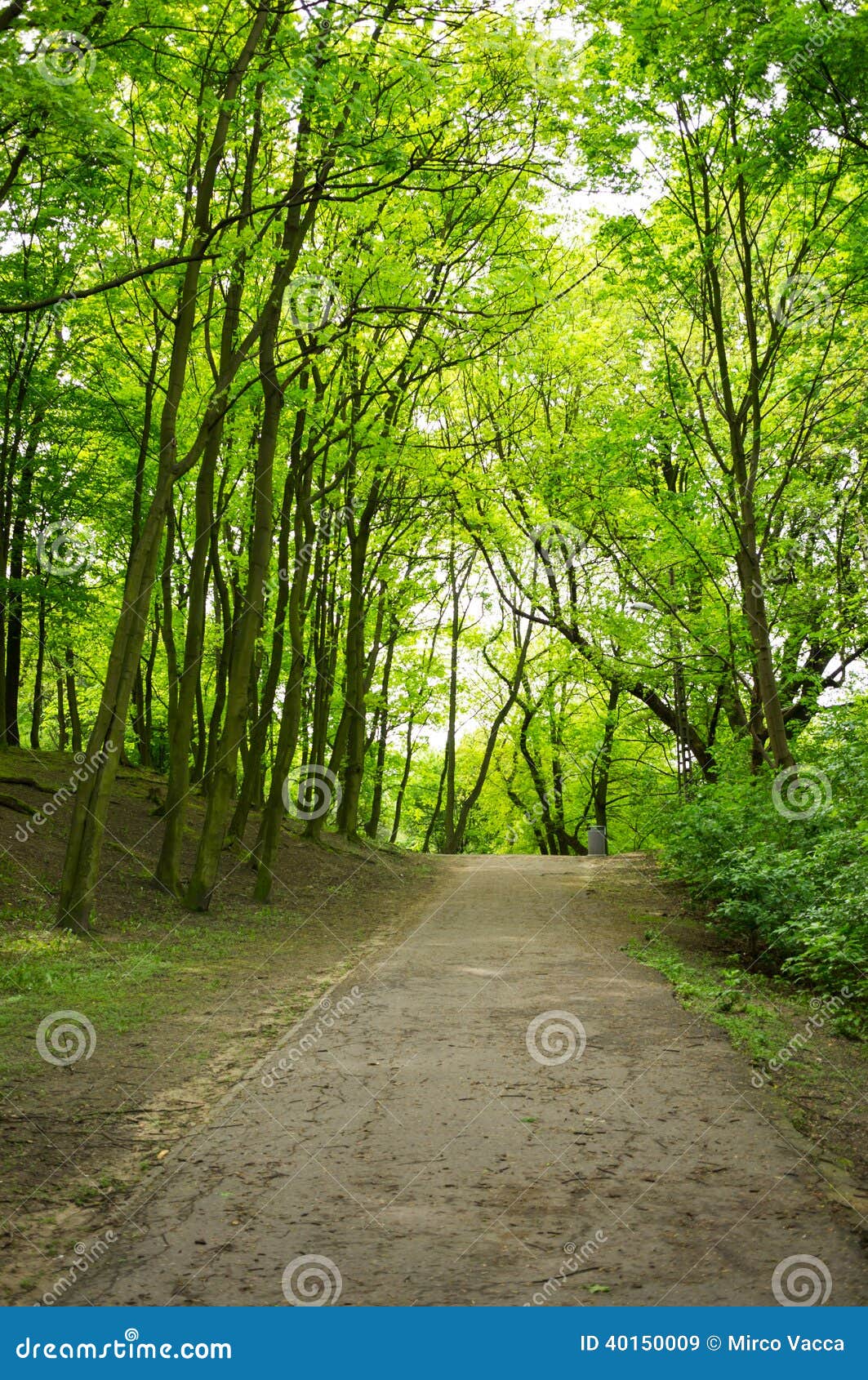Park path stock image. Image of green, natural, path - 40150009