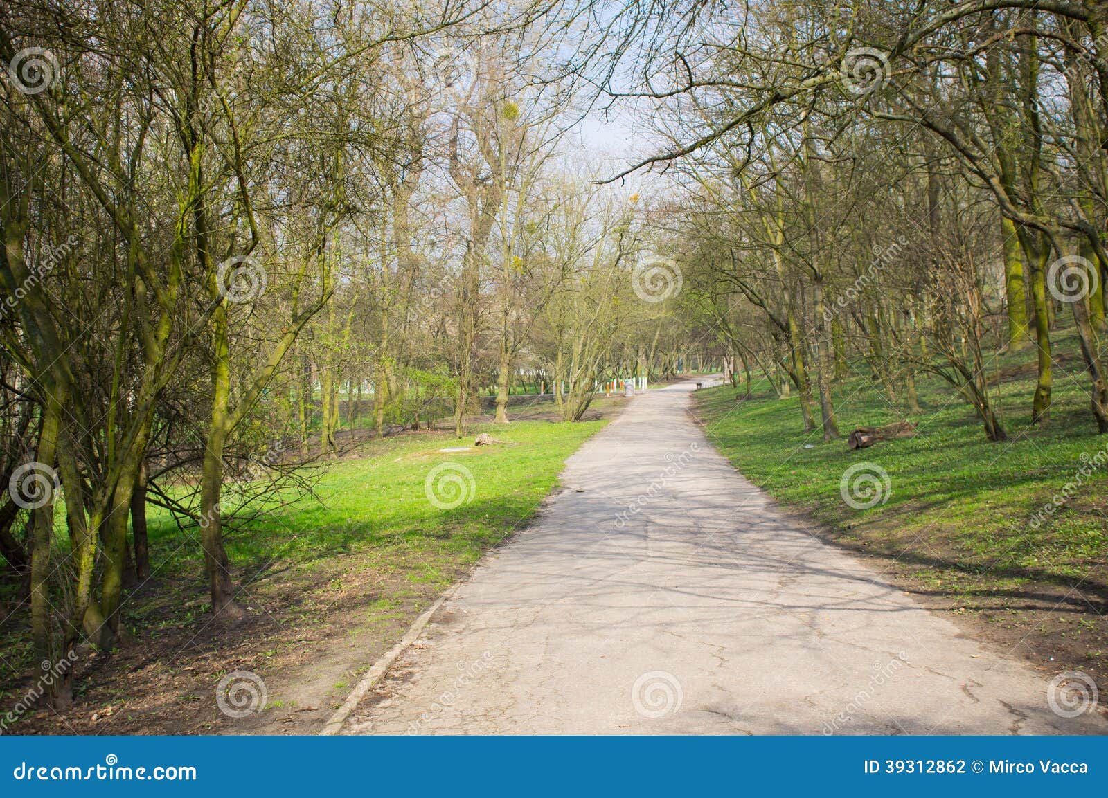 Park path stock photo. Image of green, bright, shadows - 39312862