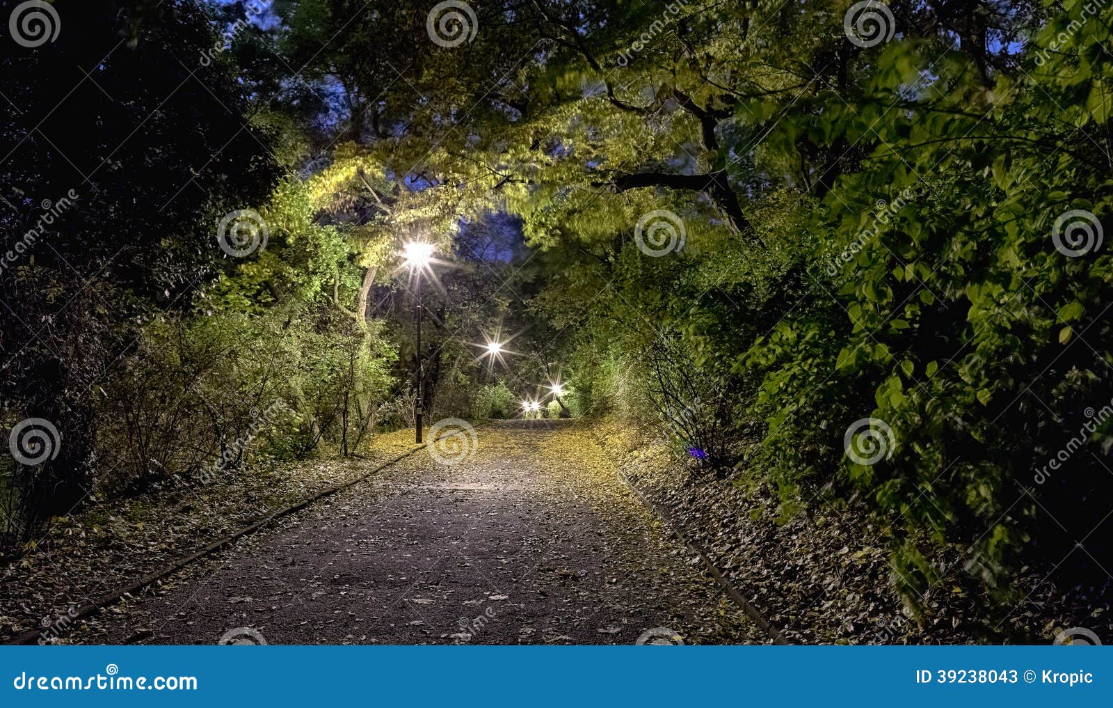 Park path the stock image. Image of beautiful, environment - 39238043