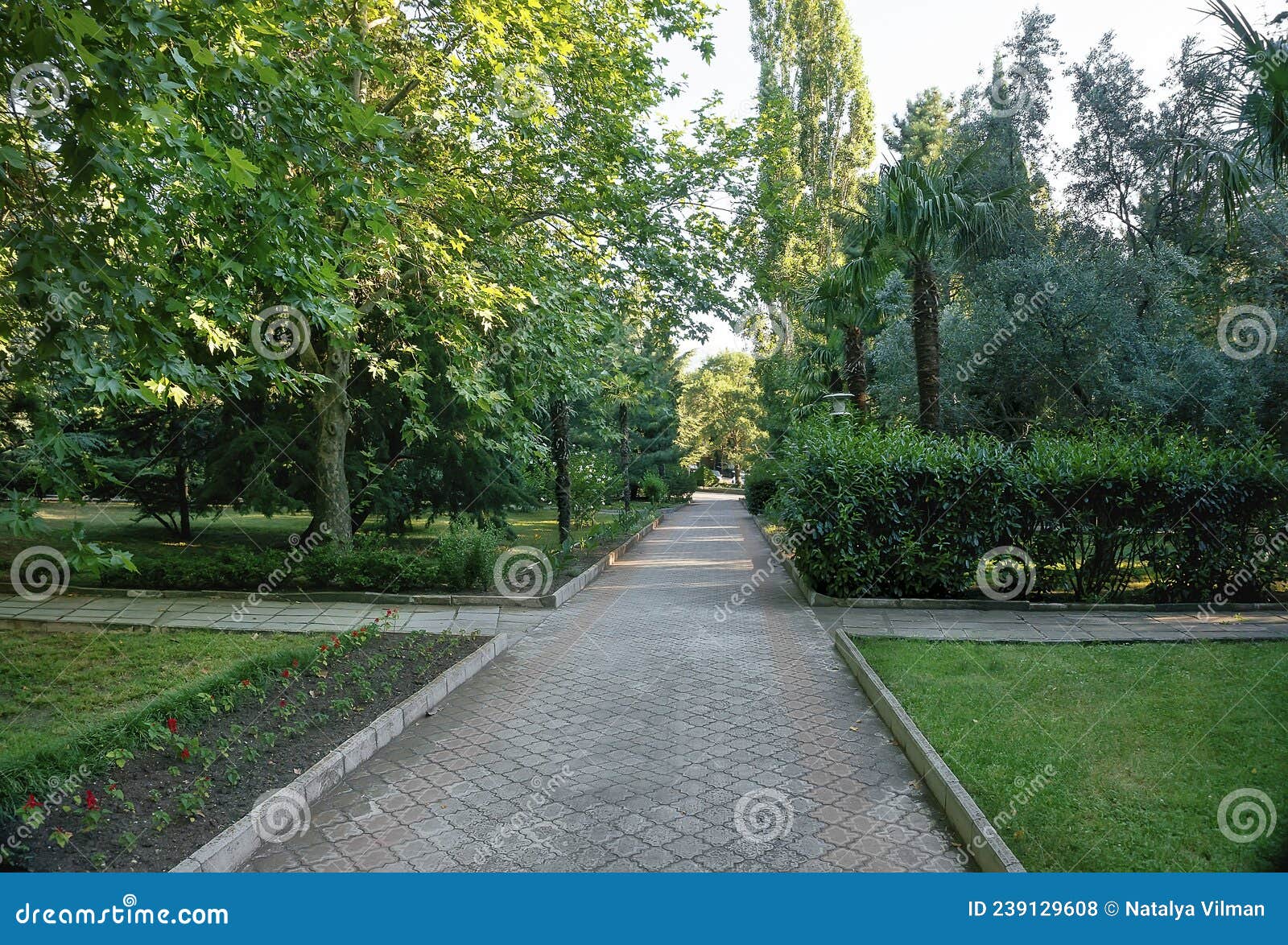 Park Path, Paved with Paving Slabs among the Trees Stock Photo - Image ...