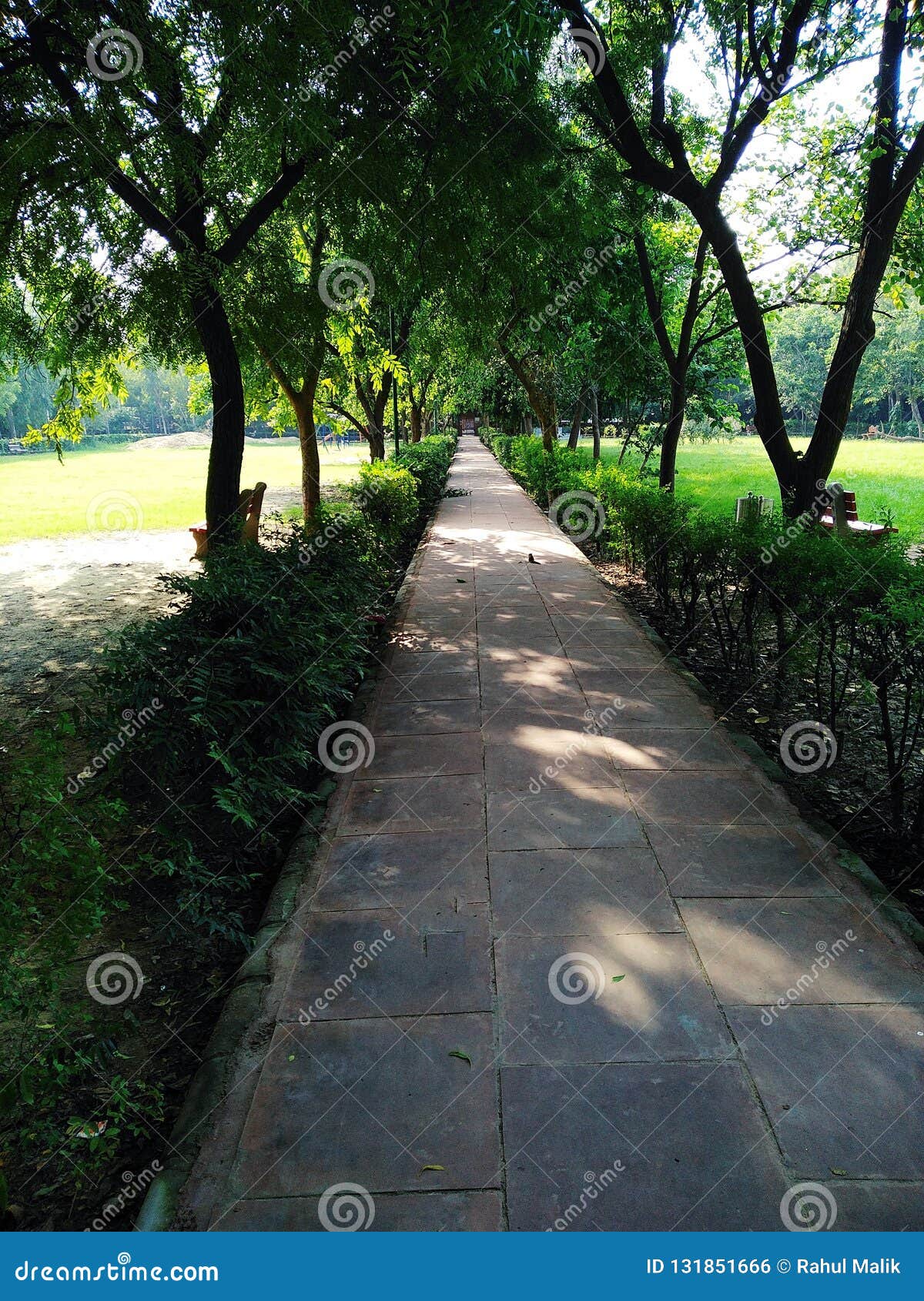 Park path stock photo. Image of tress, park, path, sides - 131851666