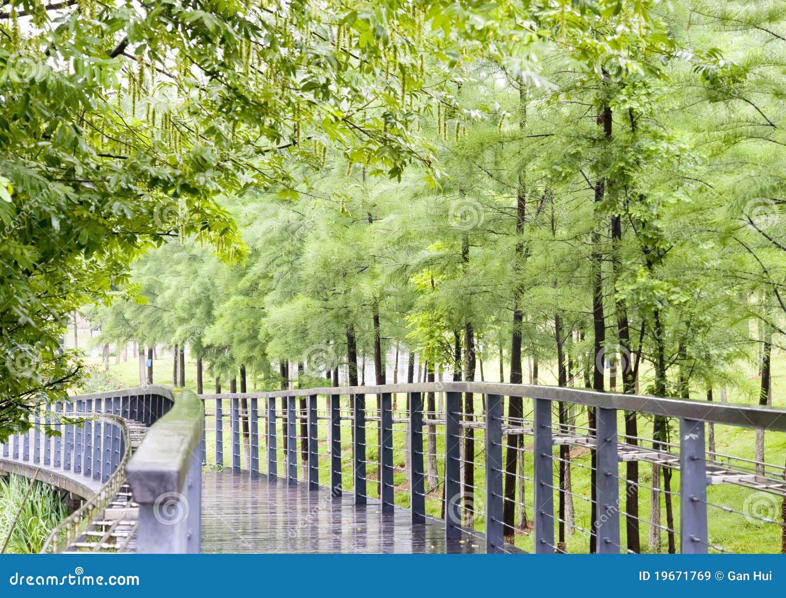 Park path after the rain stock image. Image of water - 19671769