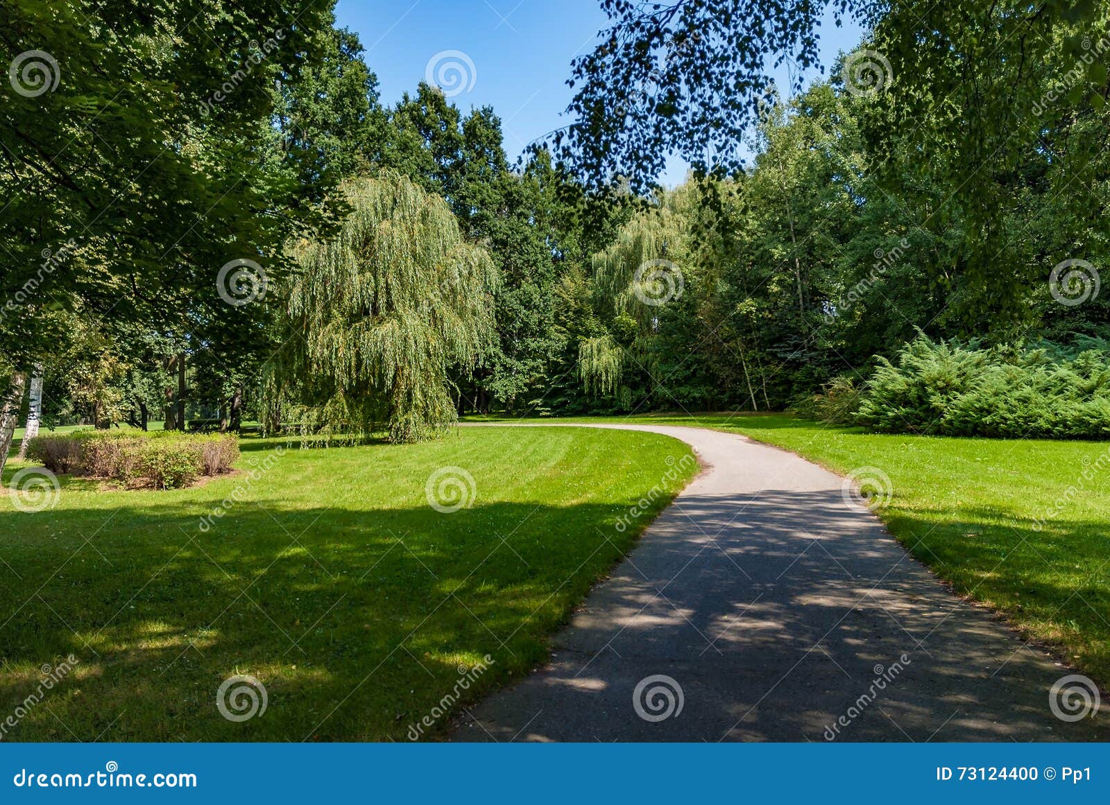 Path Road With Giant Trees Tunnel, Jawatan Perhutani. Indonesia. Java ...