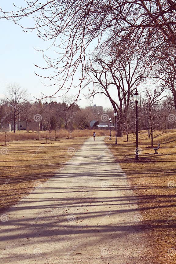 Park path at spring stock image. Image of natural, spring - 30326895