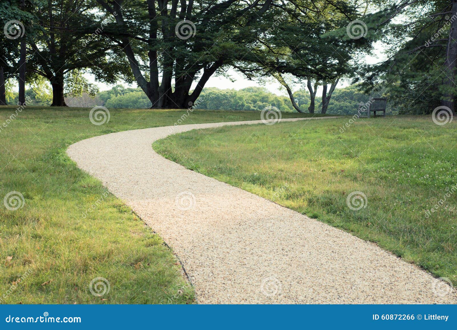 Park Path stock photo. Image of walking, countryside - 60872266